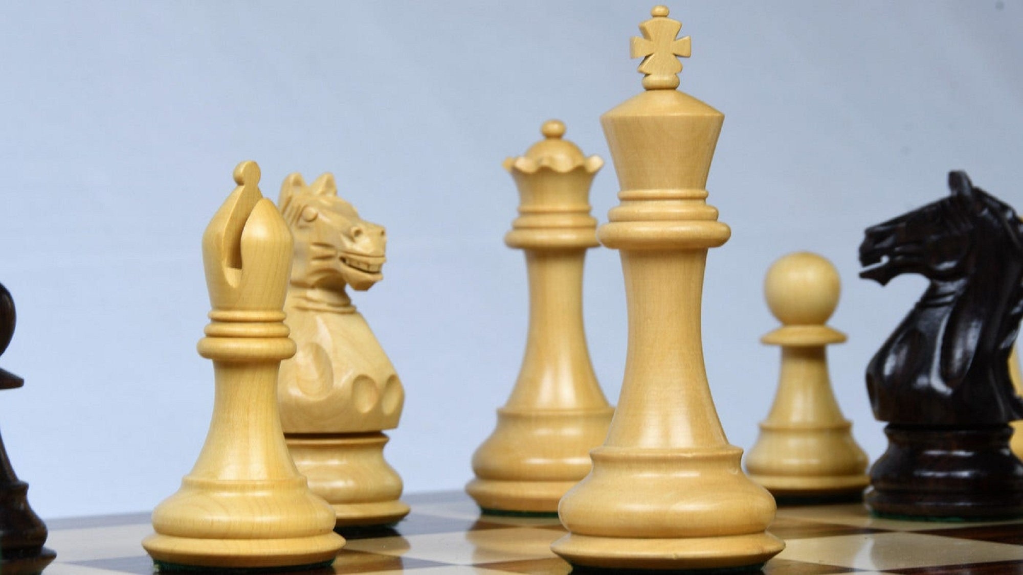 Chess Pieces Fierce Knight Staunton Series In Rosewood And Box Etsy