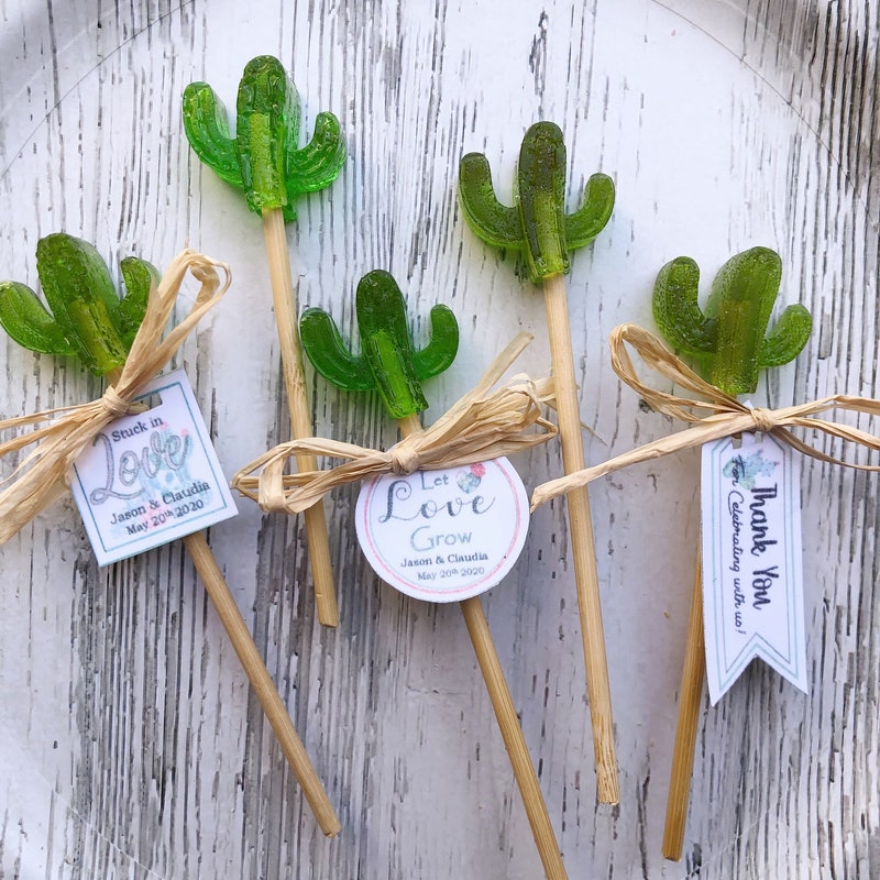 Cactus Party Decor - Etsy