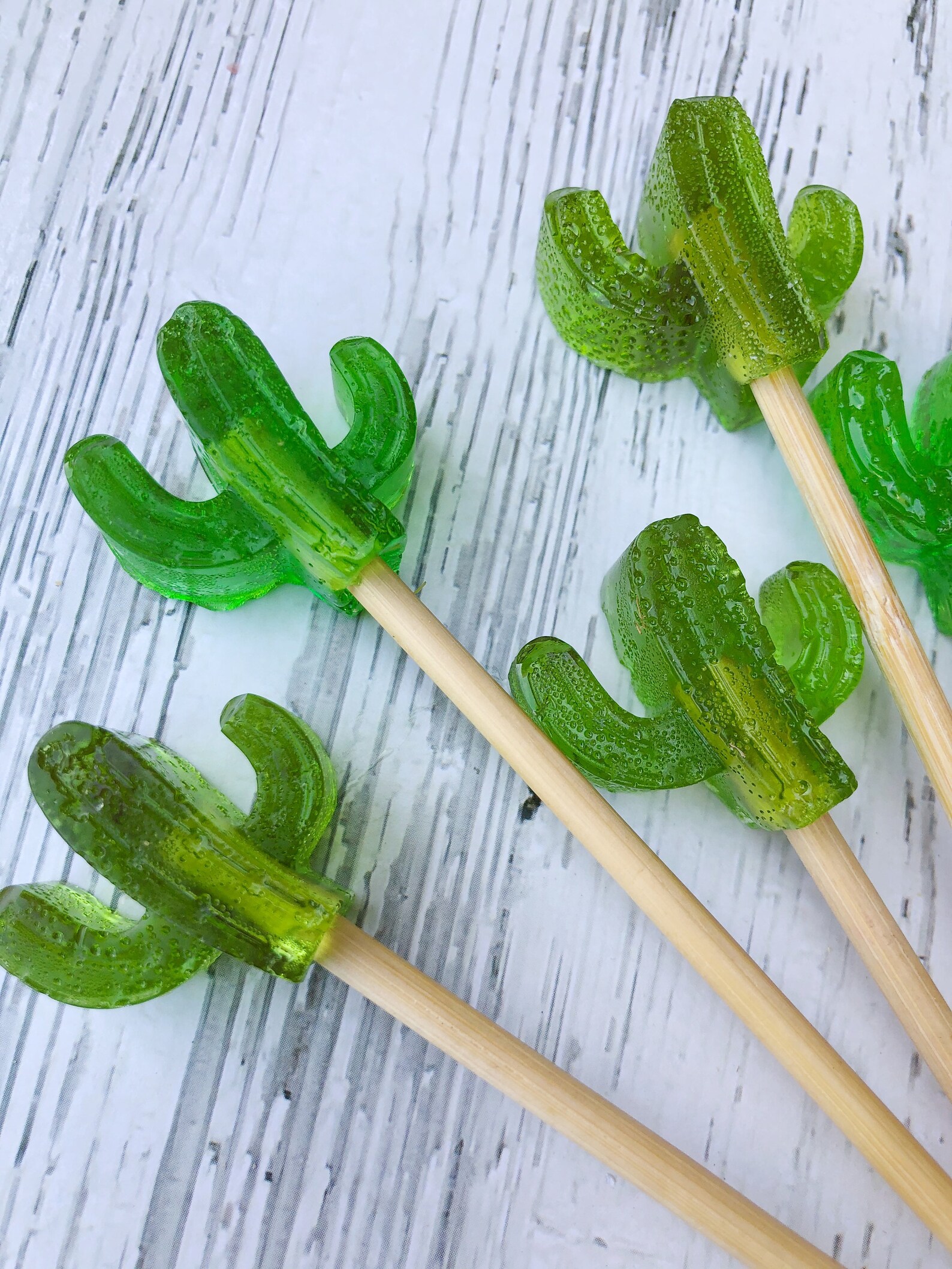 12 Mini Cactus shaped lollipops Cactus party favors with | Etsy