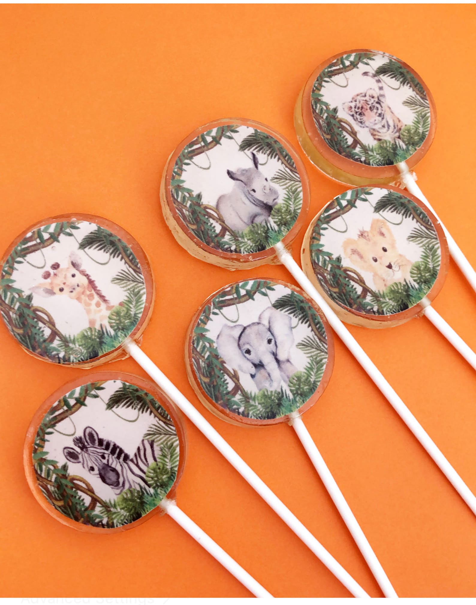 Safari Jungle Theme Customize Lollipops, Jungle Party Personalize ...