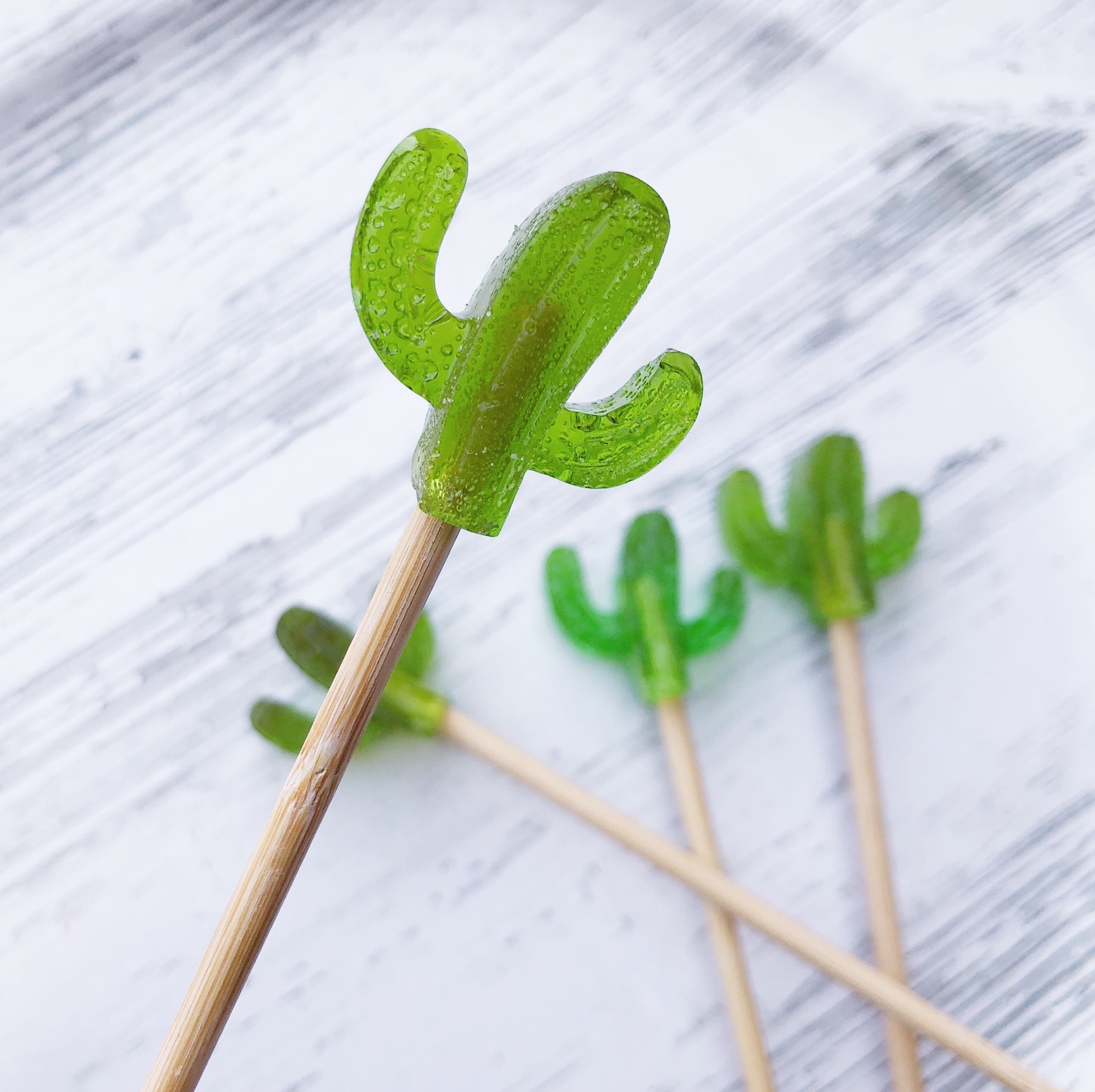 12 Mini Cactus Shaped Lollipops, Cactus Party Favors With Tags, Cactus ...