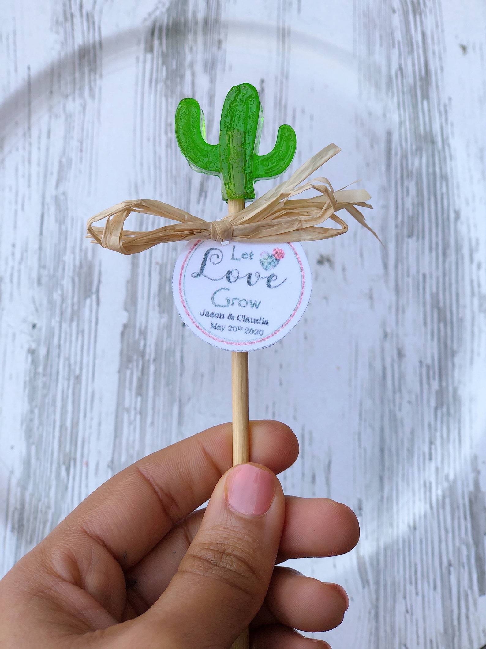 12 Mini Cactus Shaped Lollipops, Cactus Party Favors With Tags, Cactus ...