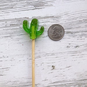 12 Mini Cactus Shaped Lollipops, Cactus Party Favors With Tags, Cactus ...