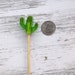 12 Mini Cactus Shaped Lollipops Cactus Party Favors With - Etsy