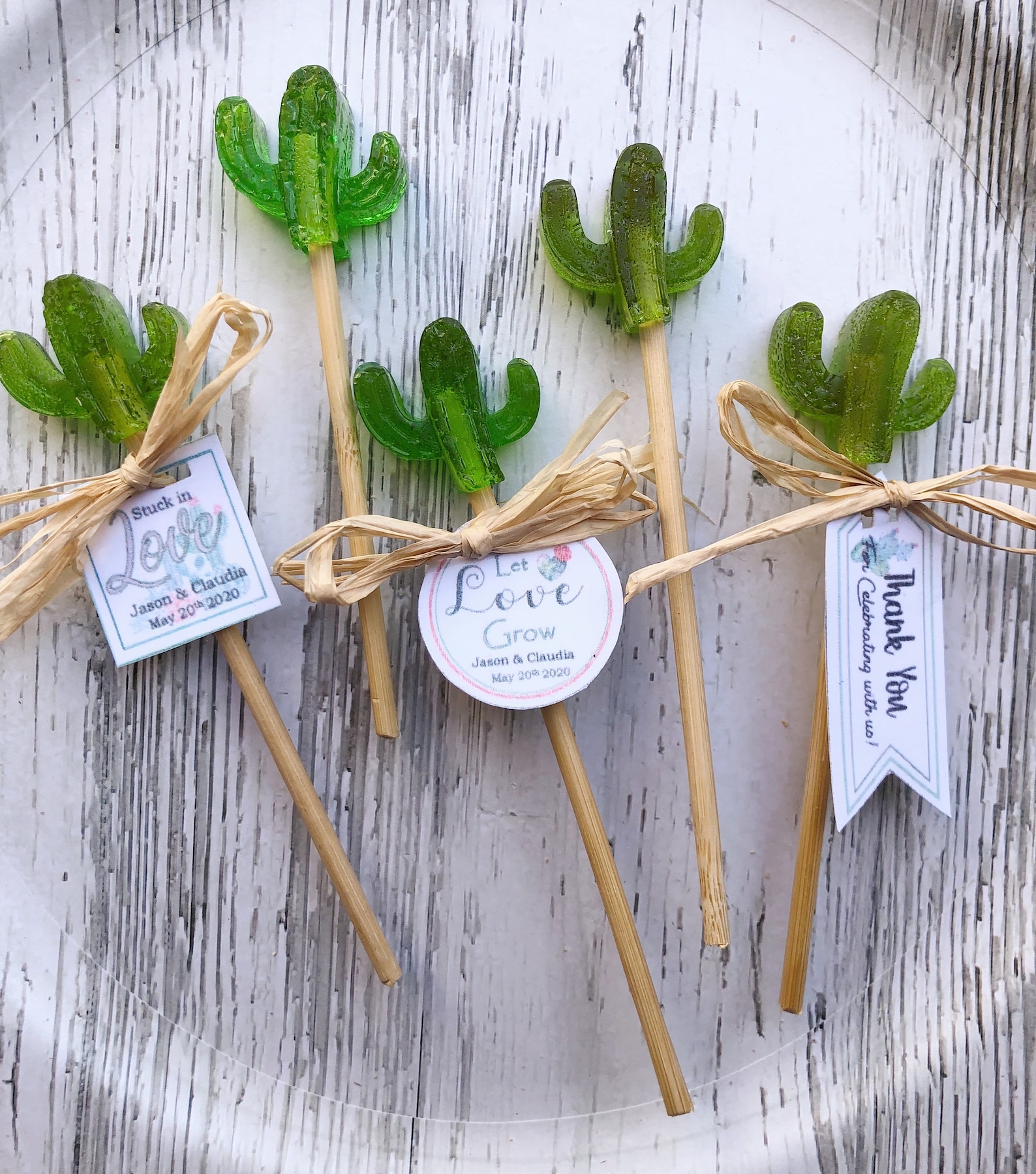 12 Mini Cactus Shaped Lollipops, Cactus Party Favors With Tags, Cactus ...