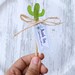 12 Mini Cactus Shaped Lollipops Cactus Party Favors With - Etsy