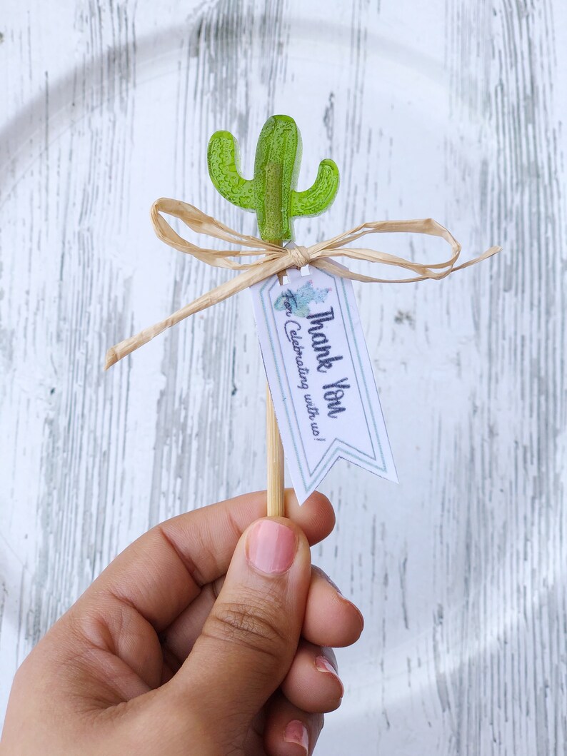 12 Mini Cactus Shaped Lollipops Cactus Party Favors With - Etsy