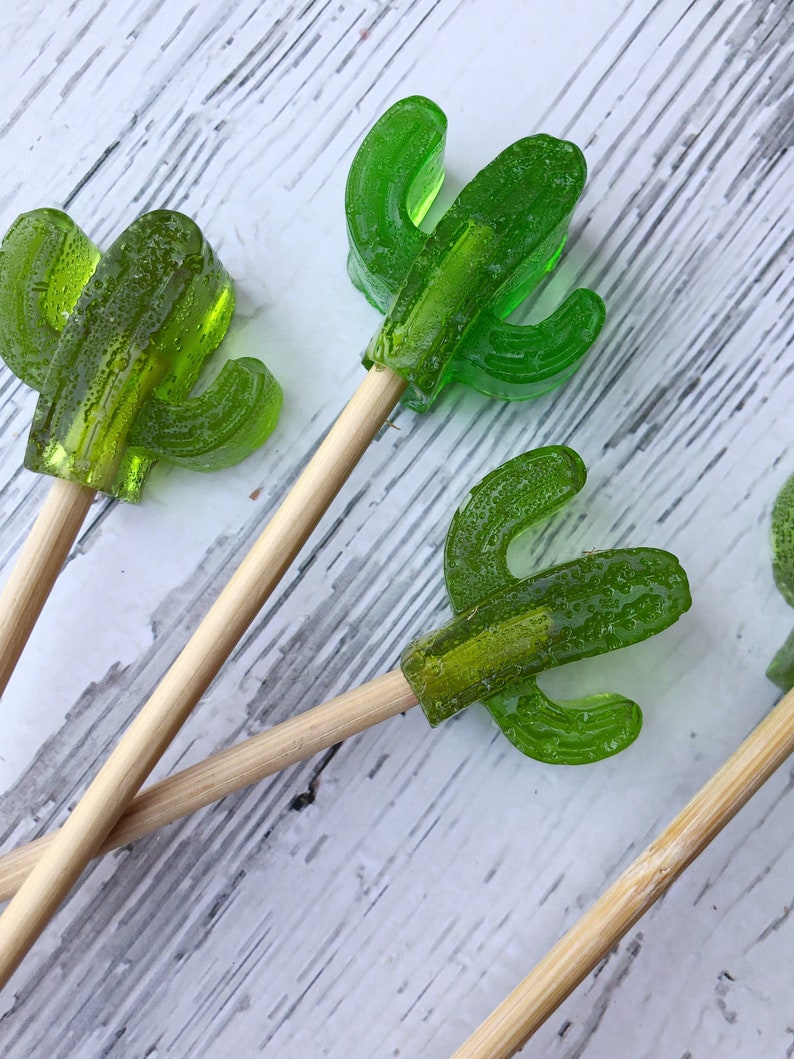 12 Mini Cactus Shaped Lollipops, Cactus Party Favors With Tags, Cactus ...