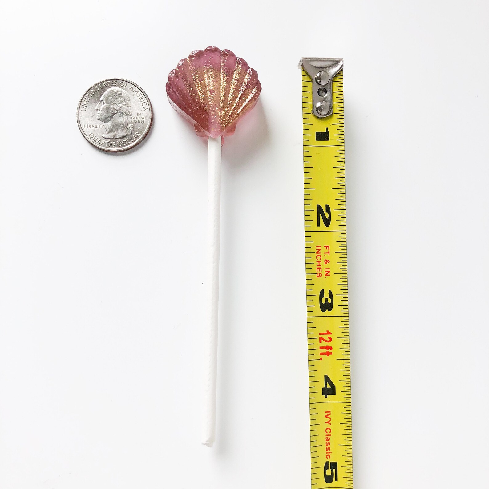 12 Mini Seashells Shaped Lollipop Favors Clamshells Shaped - Etsy