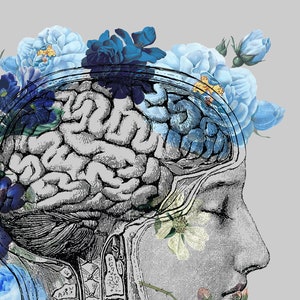 Beautiful Blue Brain Framed Print - Floral Anatomy, Vintage Brain ...