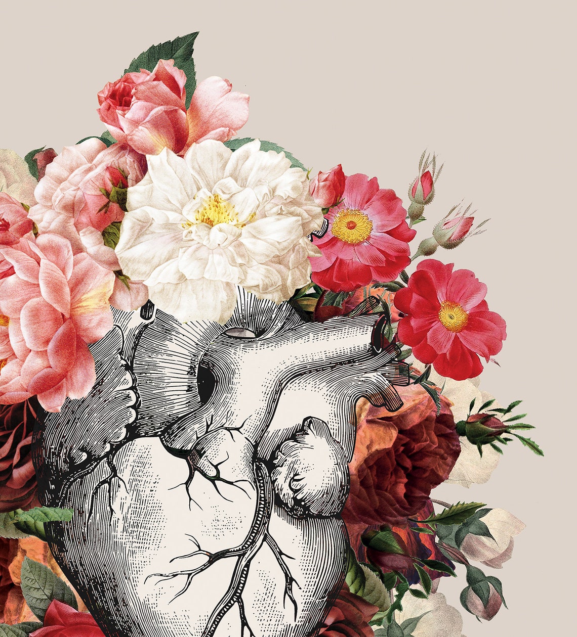 Floral Anatomy Heart Framed Art Anatomical Heart With Roses - Etsy