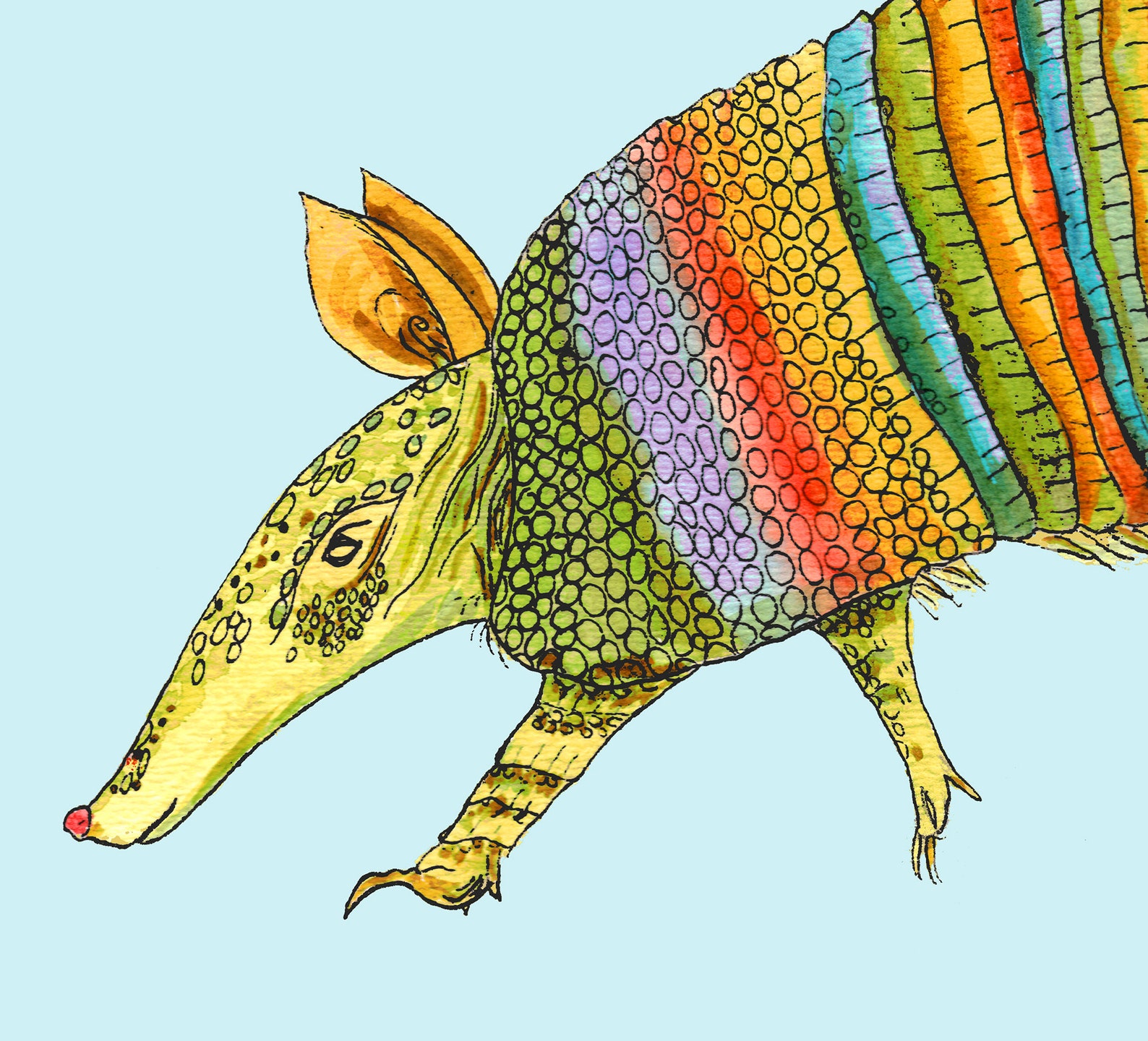 Colorful Armadillo Pillow Lumbar Pillow Rectangular Throw | Etsy