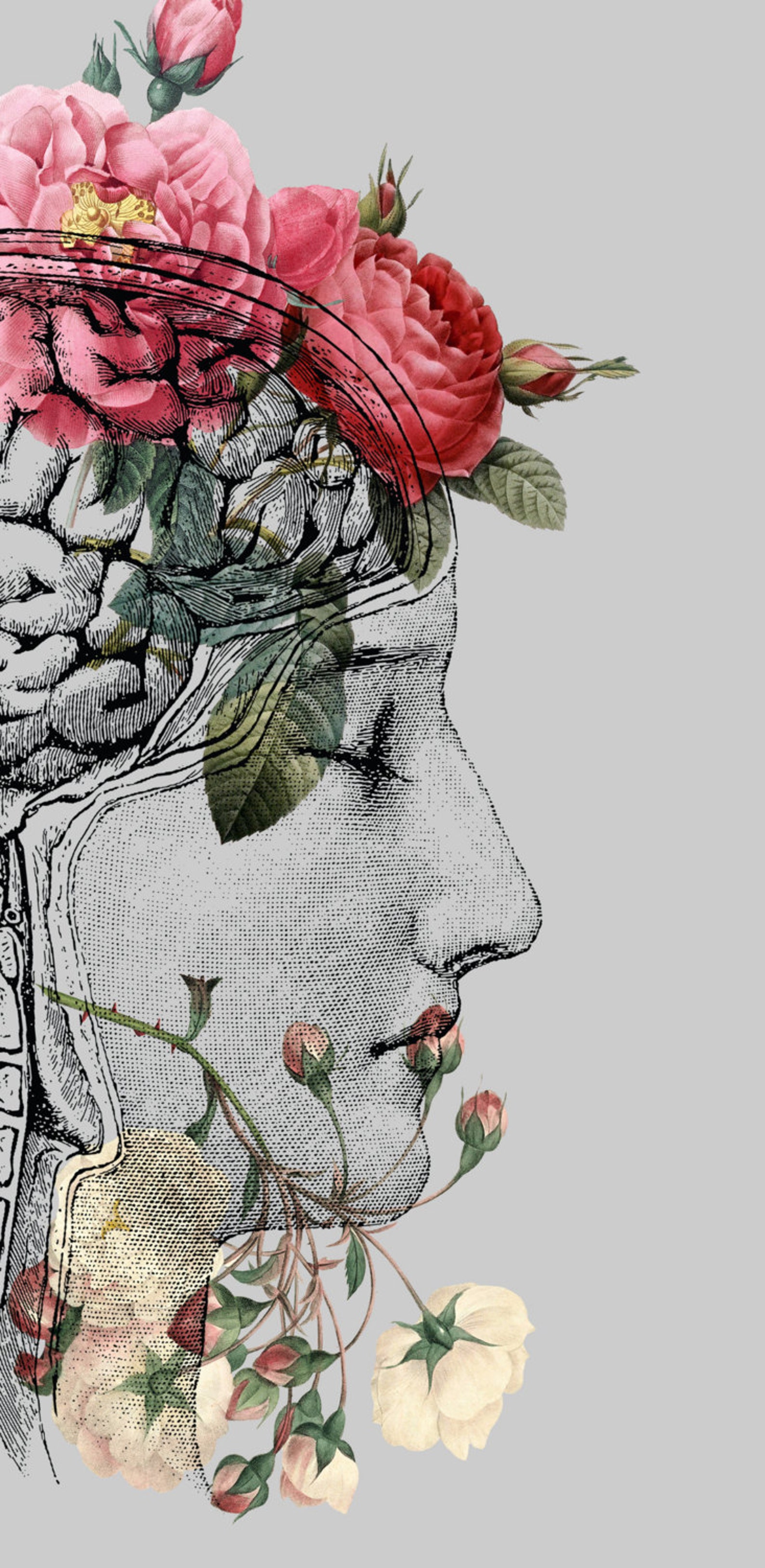 Anatomical Brain Shower Curtain beautiful Brain - Etsy