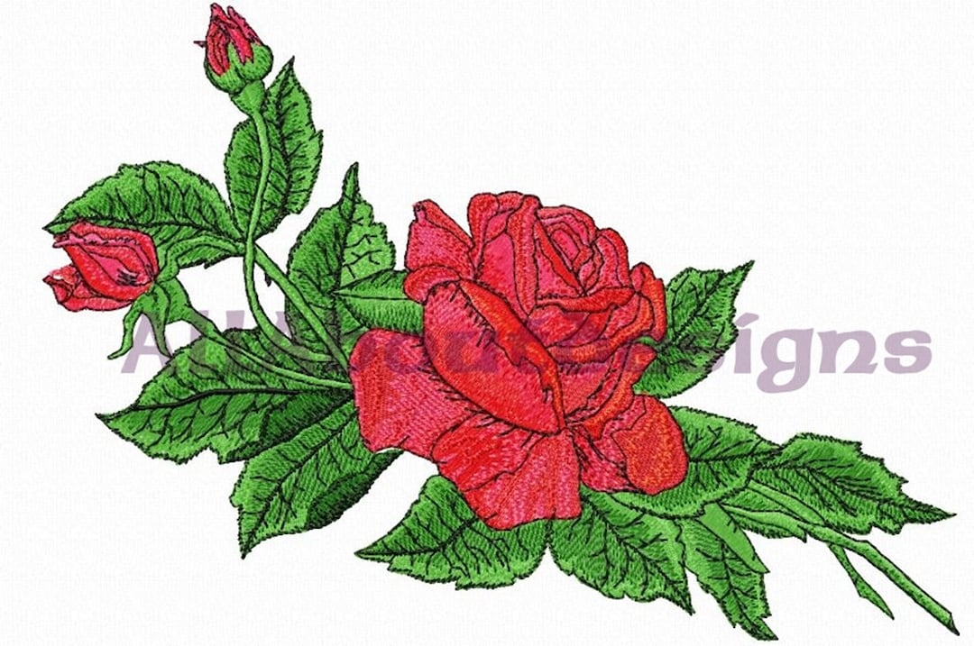 Beautiful Extra Large Rose Machine Embroidery Design 10.58" X 7.36 ...