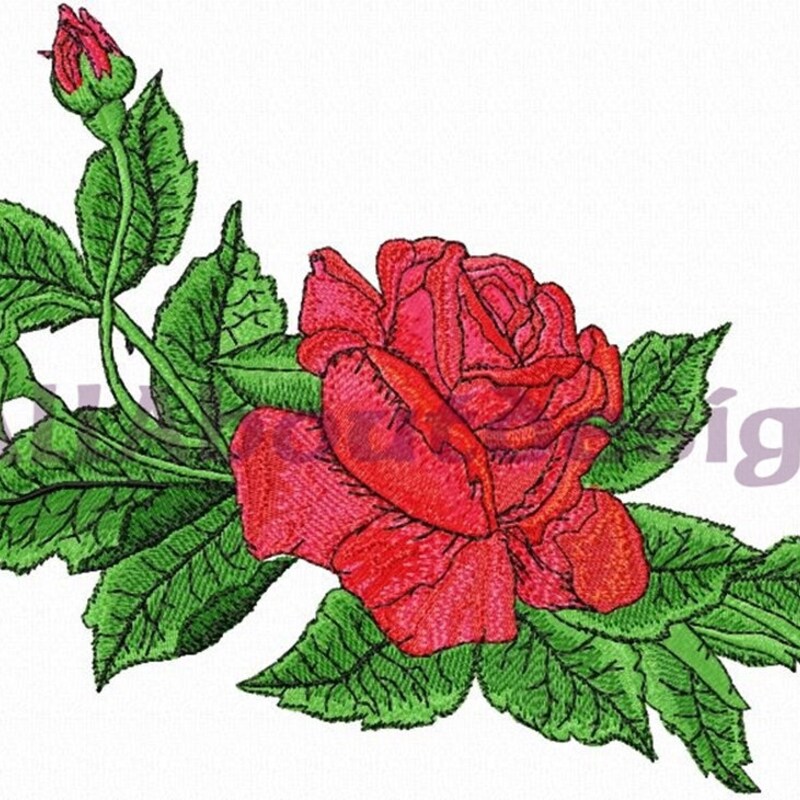 Rose Machine Embroidery Design - Etsy