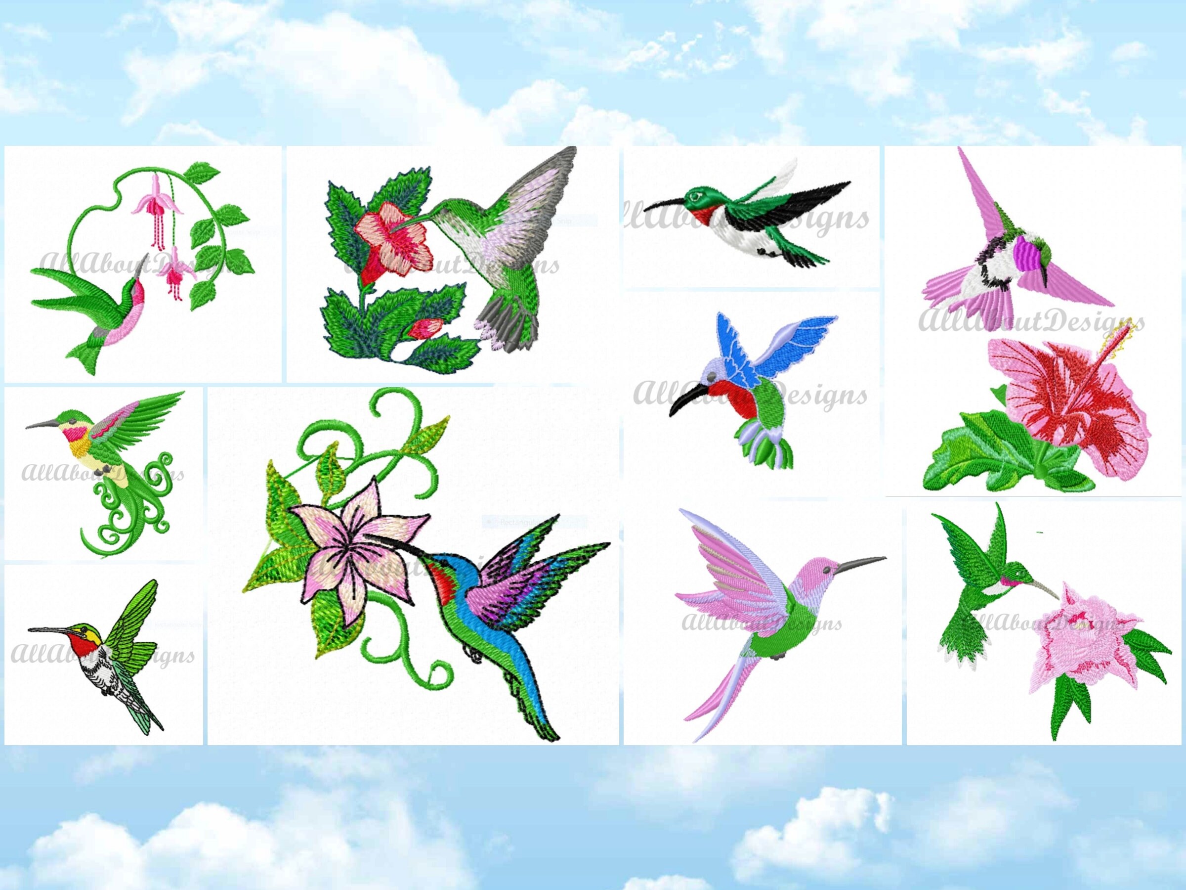 Colorful Hummingbirds Machine Embroidery Designs -10 Different Designs ...