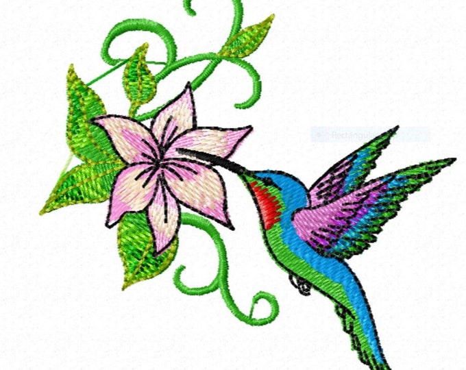 Colorful Hummingbird Machine Embroidery Design 3 Multiple - Etsy