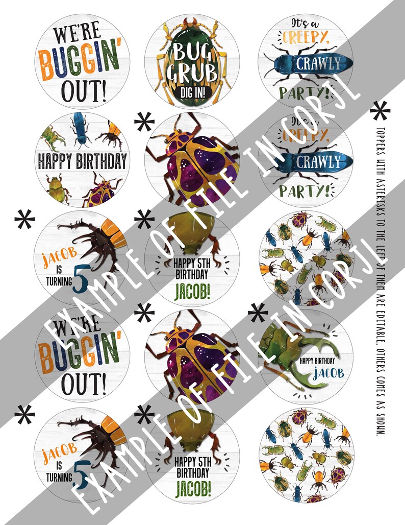 Bug Birthday Invitation Bug Party Birthday Invite Bug - Etsy