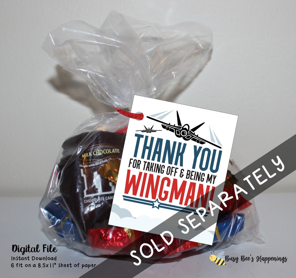 Fighter Jet Birthday Thank You Note: Airplane Pilot Party (printable ...
