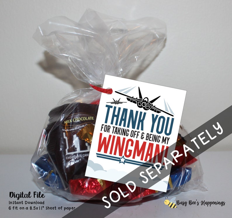 Fighter Jet Birthday Thank You Note: Airplane Pilot Party (printable ...