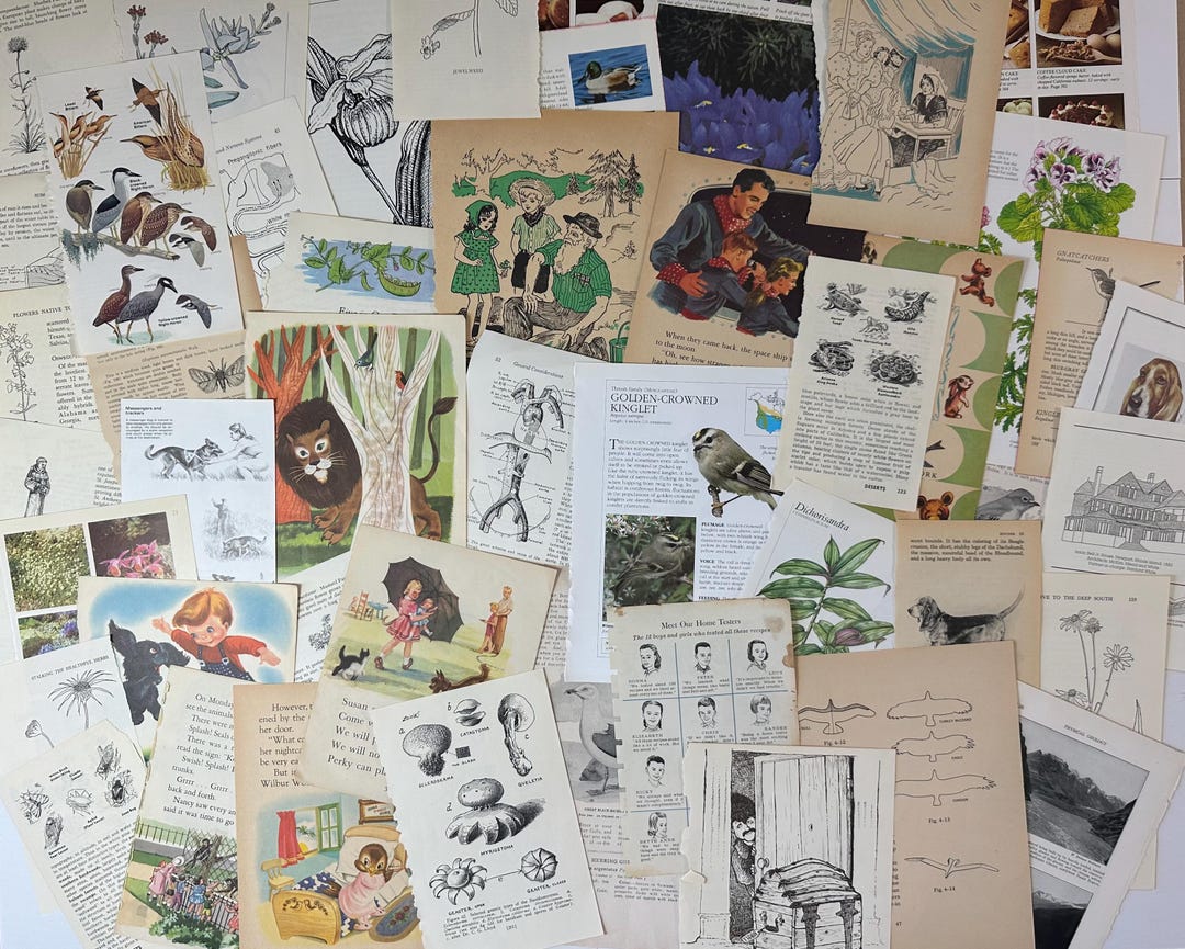 Ephemera Packet 50 Illustrated Book Pages A3 - Etsy