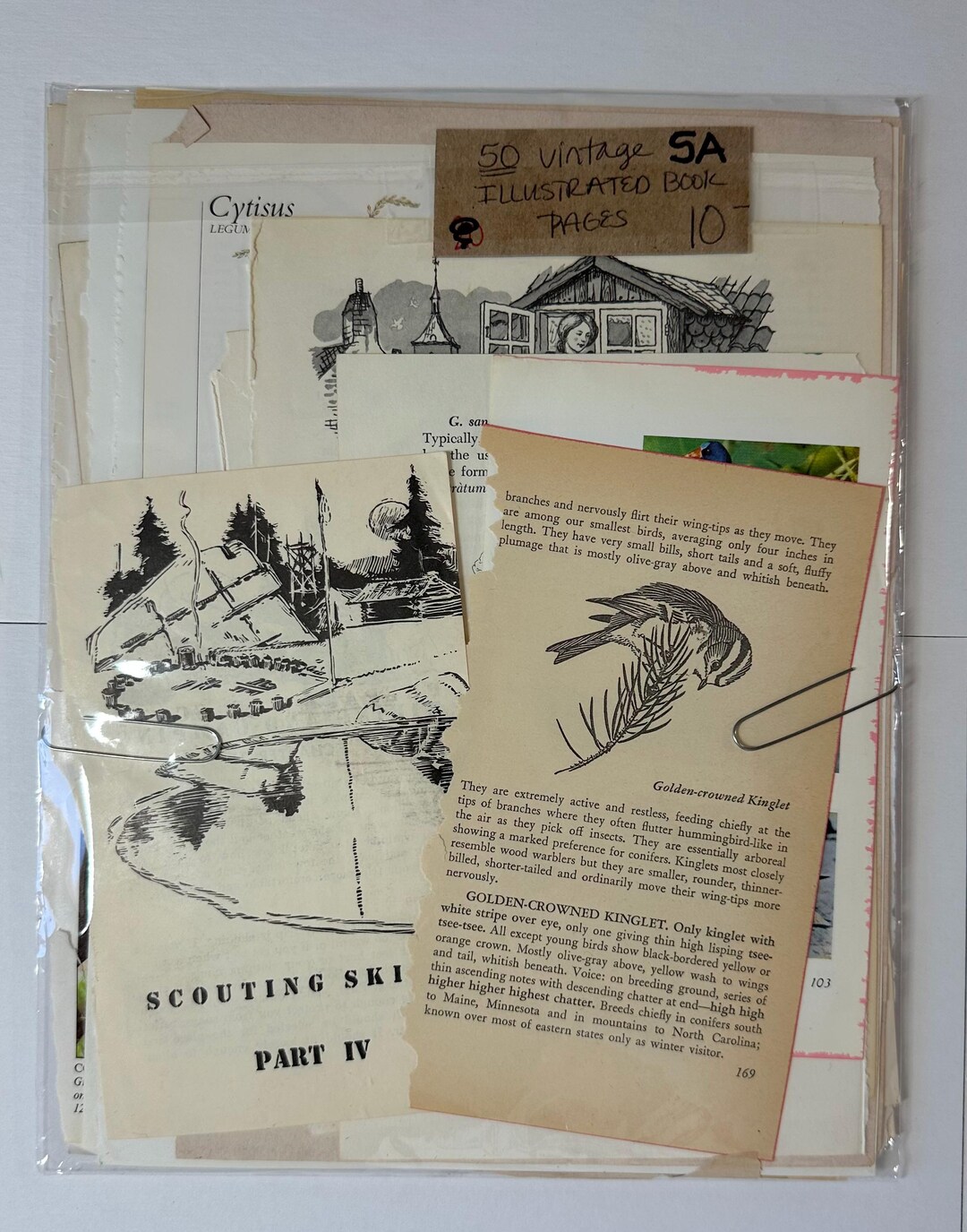 Ephemera Packet 50 Illustrated Book Pages - Etsy