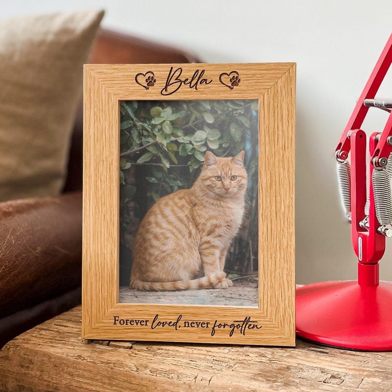 Cat Picture Frame Home - Etsy UK