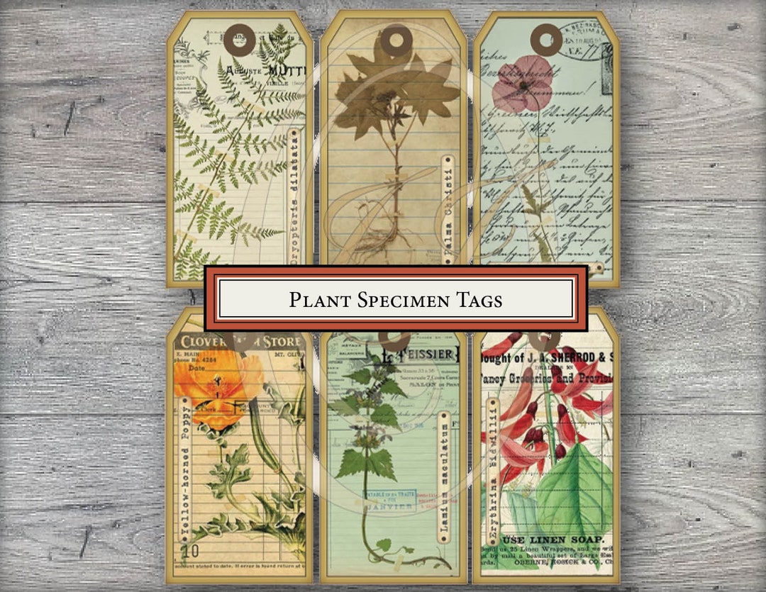 Printable Plant Specimen Tags for Junk Journals Planners Gift Tags ...