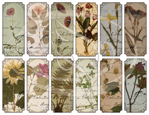 Printable Plant Specimen Tickets for Junk Journal Planners | Etsy