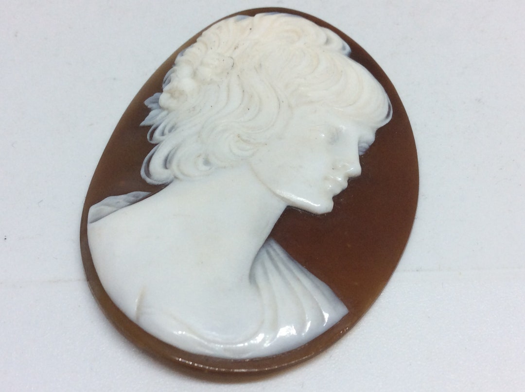 Rare 2nd Eye Vintage Italian Shell Classical Cameo Portrait Cameo for ...