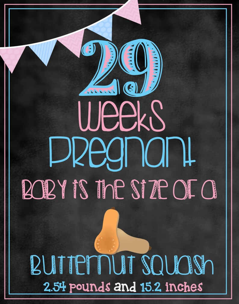 Pregnancy Boards (digital Posters) EVERY WEEK Weeks 29-32 - Etsy