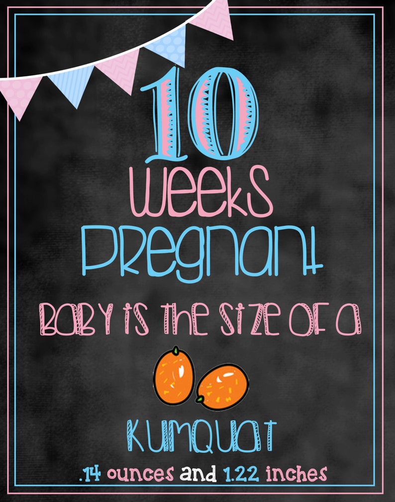 Pregnancy Boards digital Posters EVERY WEEK Weeks 8-12 - Etsy