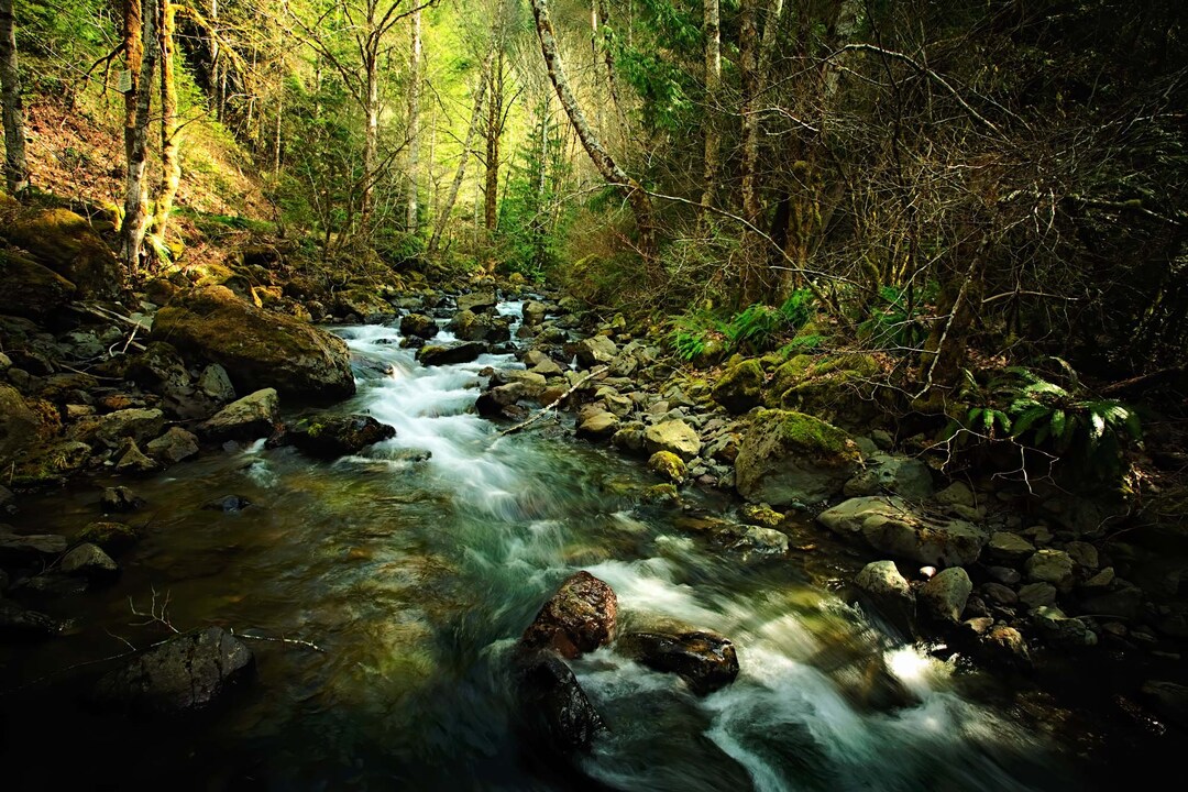 Rocky Brook Creek - Etsy