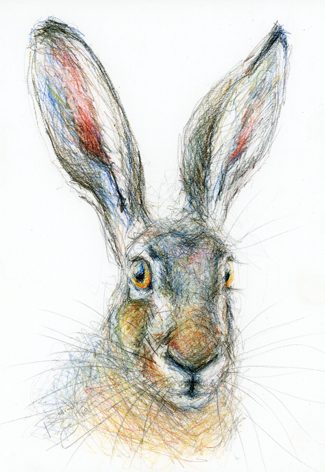 Original Artwork - A4 Pastel and Coloured Pencil Portrait of a Hare - Etsy