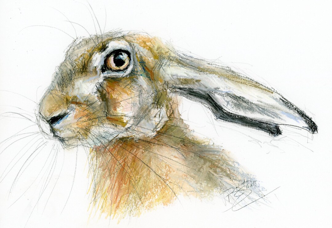 Original Artwork A4 Pastel Portrait of a Hare by Animal Artist Belinda ...