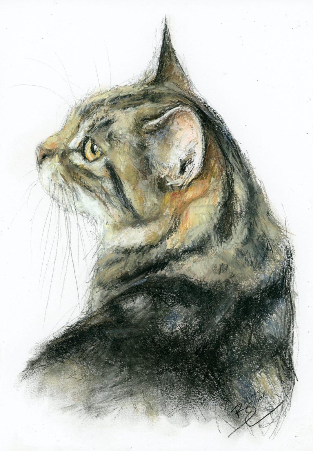 Original Artwork - A4 Pastel Portrait of a Tabby Cat - Etsy