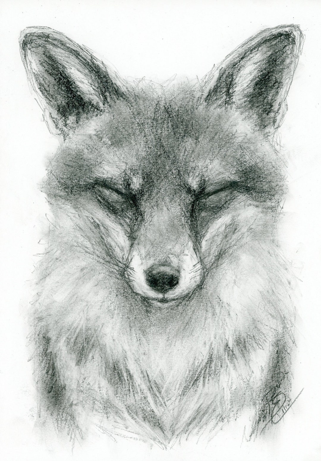 Original Artwork - A4 Charcoal and Pencil Drawing of a Fox by Animal ...