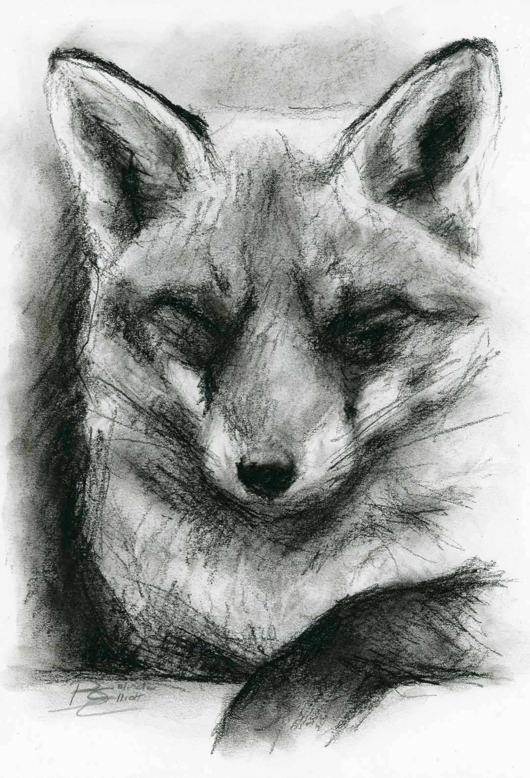 Original Artwork A4 Charcoal Drawing of a Fox by Animal - Etsy