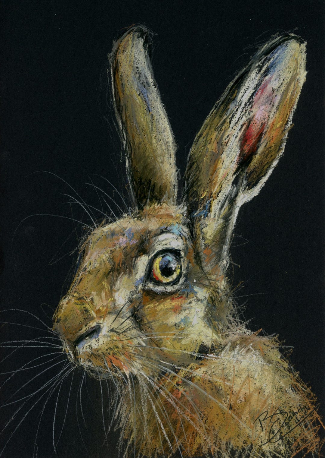 Original Artwork - A4 Pastel Portrait of a Hare - Etsy