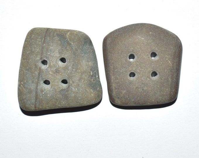 Seashell Buttons Set of 6 Sea Shell Buttons Craft Buttons Organic ...