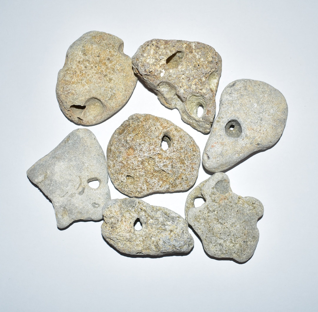 Hag Stones 2"-2.16" Lot 7 Pcs Natural Holey Stone Decor Raw Rocks for ...