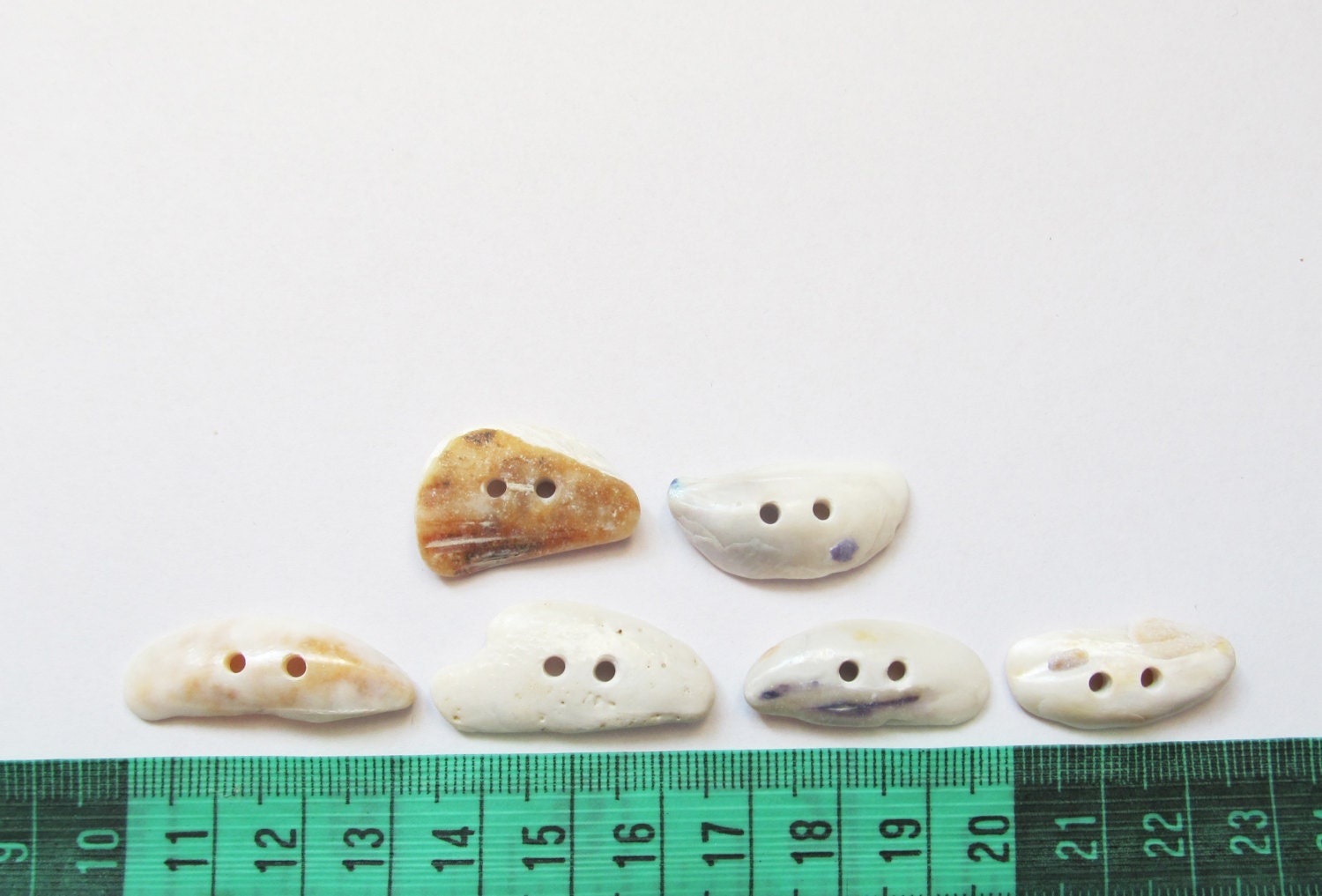 Seashell Buttons Set of 6 Sea Shell Buttons Craft Buttons | Etsy