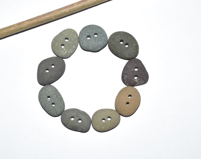 Seashell Buttons Set of 6 Sea Shell Buttons Craft Buttons Organic ...