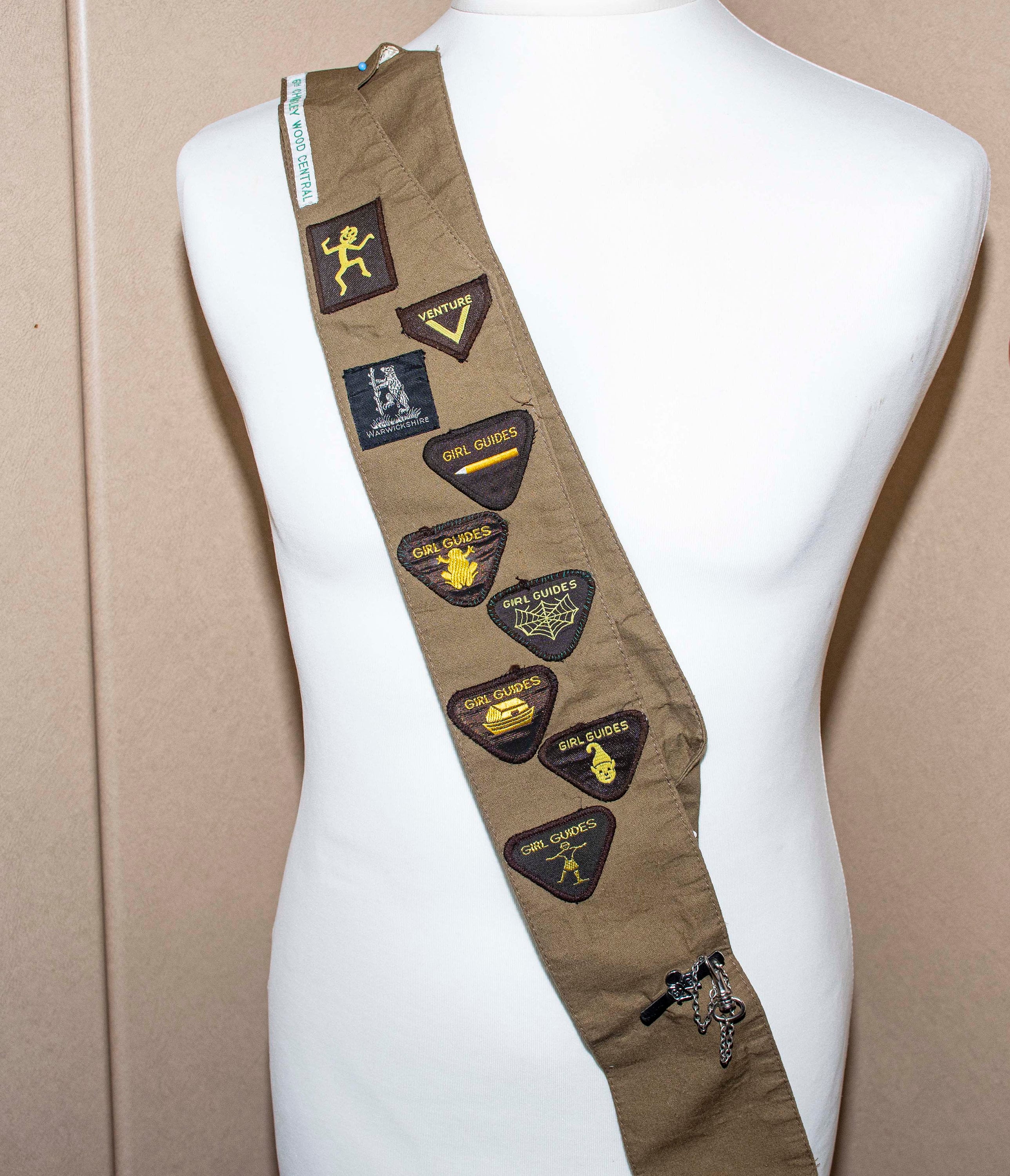 Brownie Badges On Sash