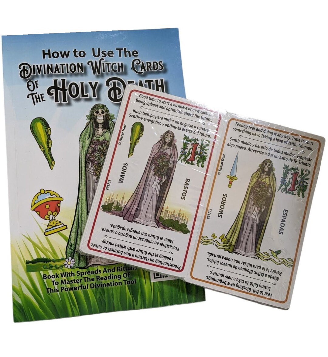 Divination Witch Cards of the Holy Death Book and 48 Cards With ...