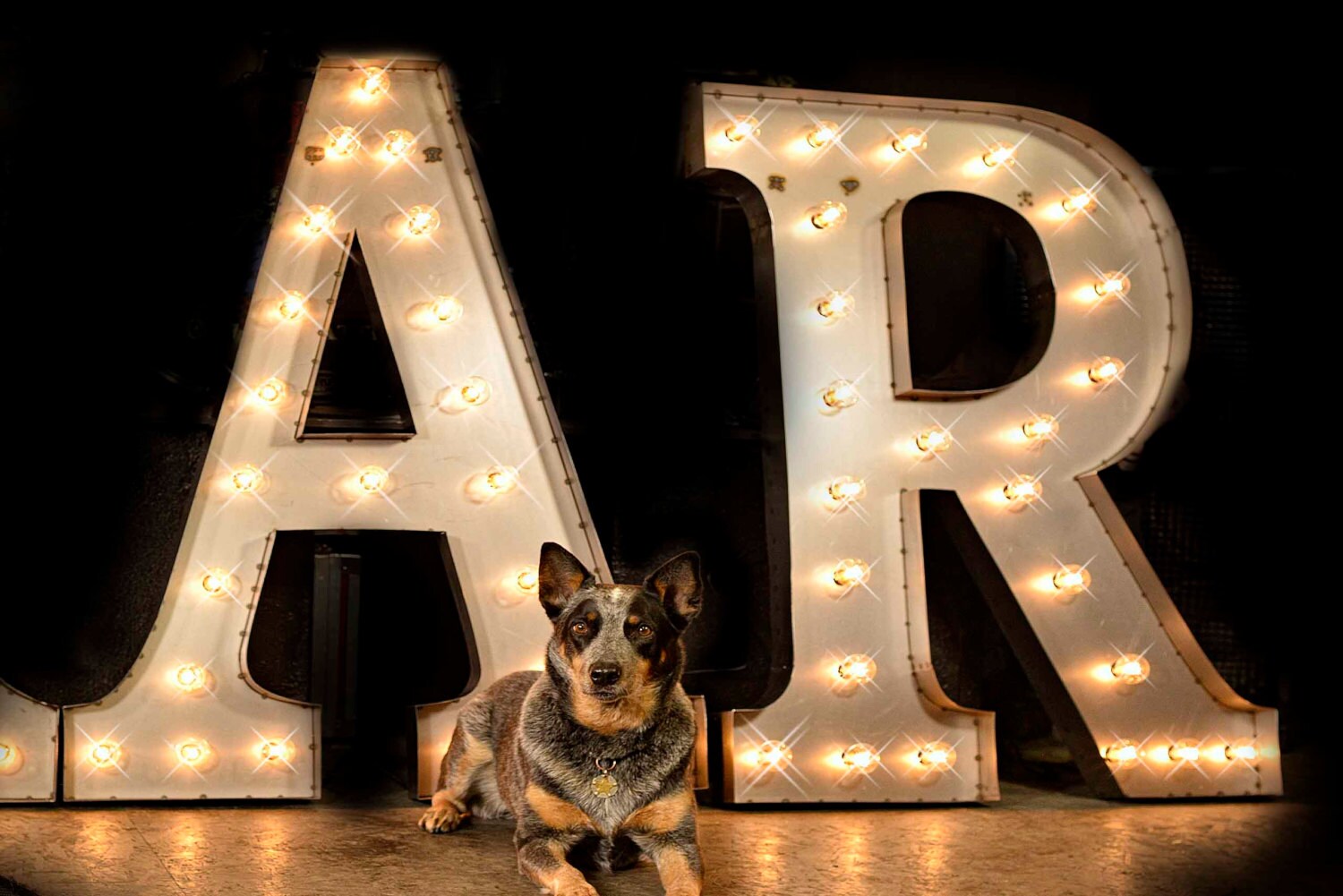 Custom signs XXL Large Marquee letter Marquee sign Lighted | Etsy