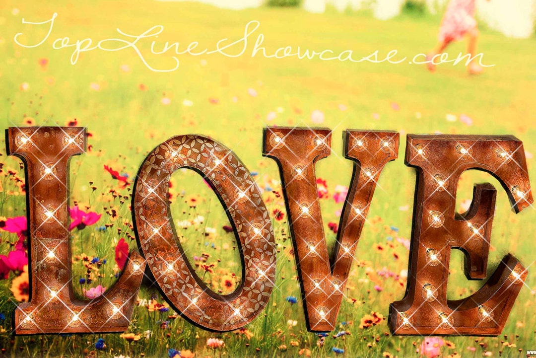 Love Marquee Package, Marquee Letter, Marquee Light, Carnival Letter ...