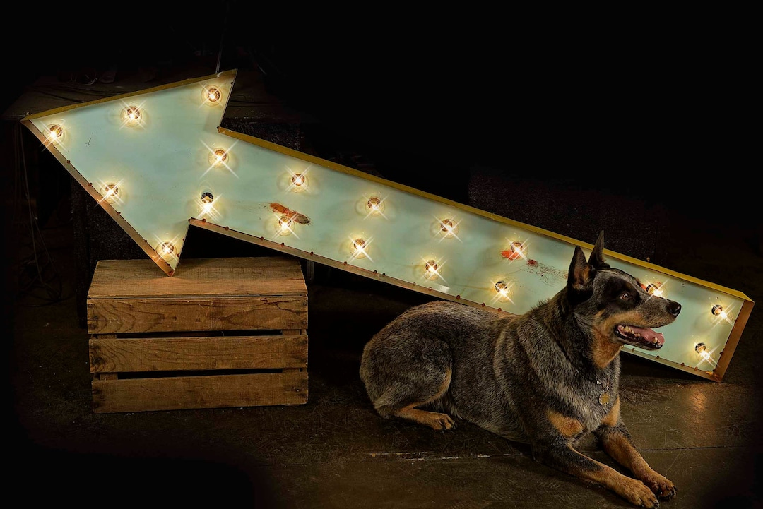 Marquee Arrow, Double Bulbs, Marquee Sign, Marquee Arrow, Lighted Metal ...