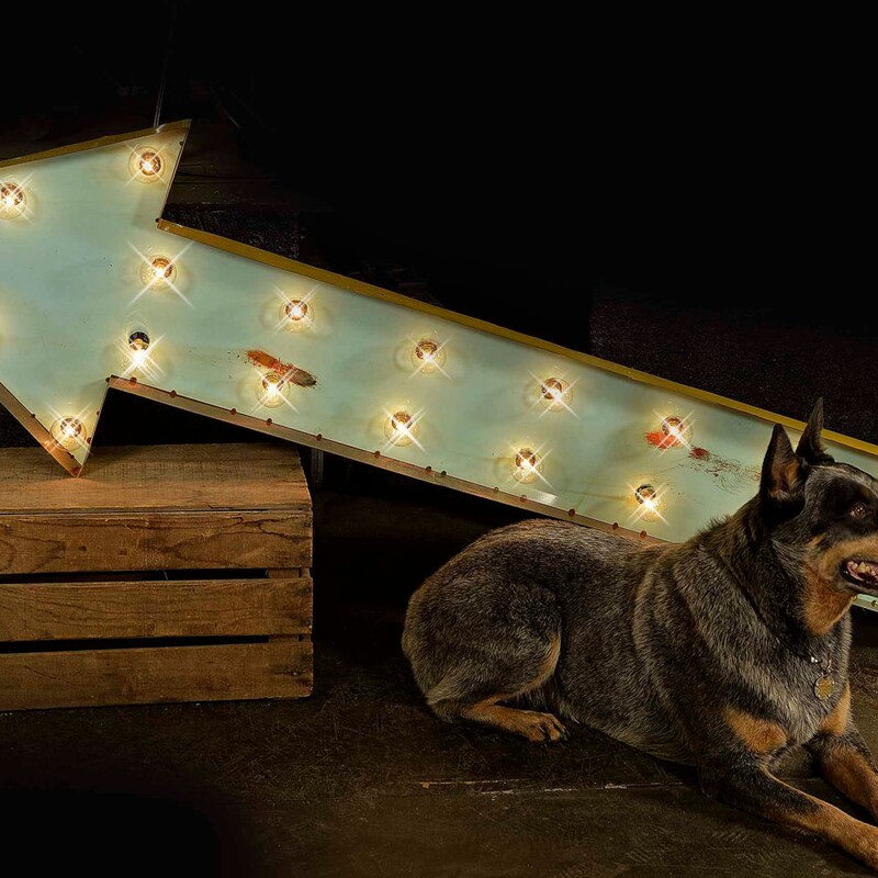 Lighted Arrow Sign - Etsy