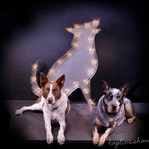 Dog Marquee Sign, Marquee Sign, Marquee Lights, Vintage Marquee ...